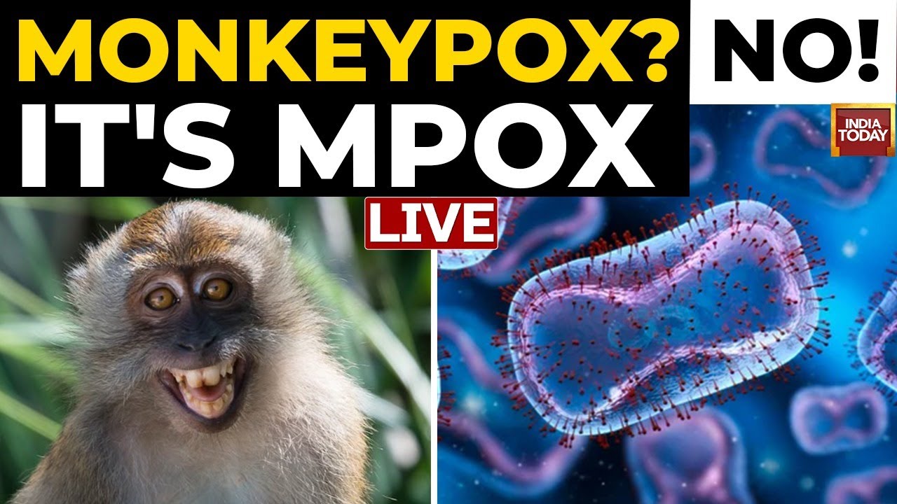 LIVE | Why WHO Renamed Monkeypox To Mpox: The Fight Against Stigma ...