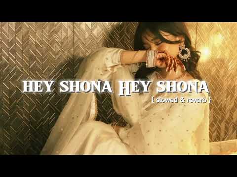 Hey Shona Hey Shona || Ta Ra Rum Pum [Lofi + Slowed + Reverb] FROM LOFICOFFEEHOUSE 