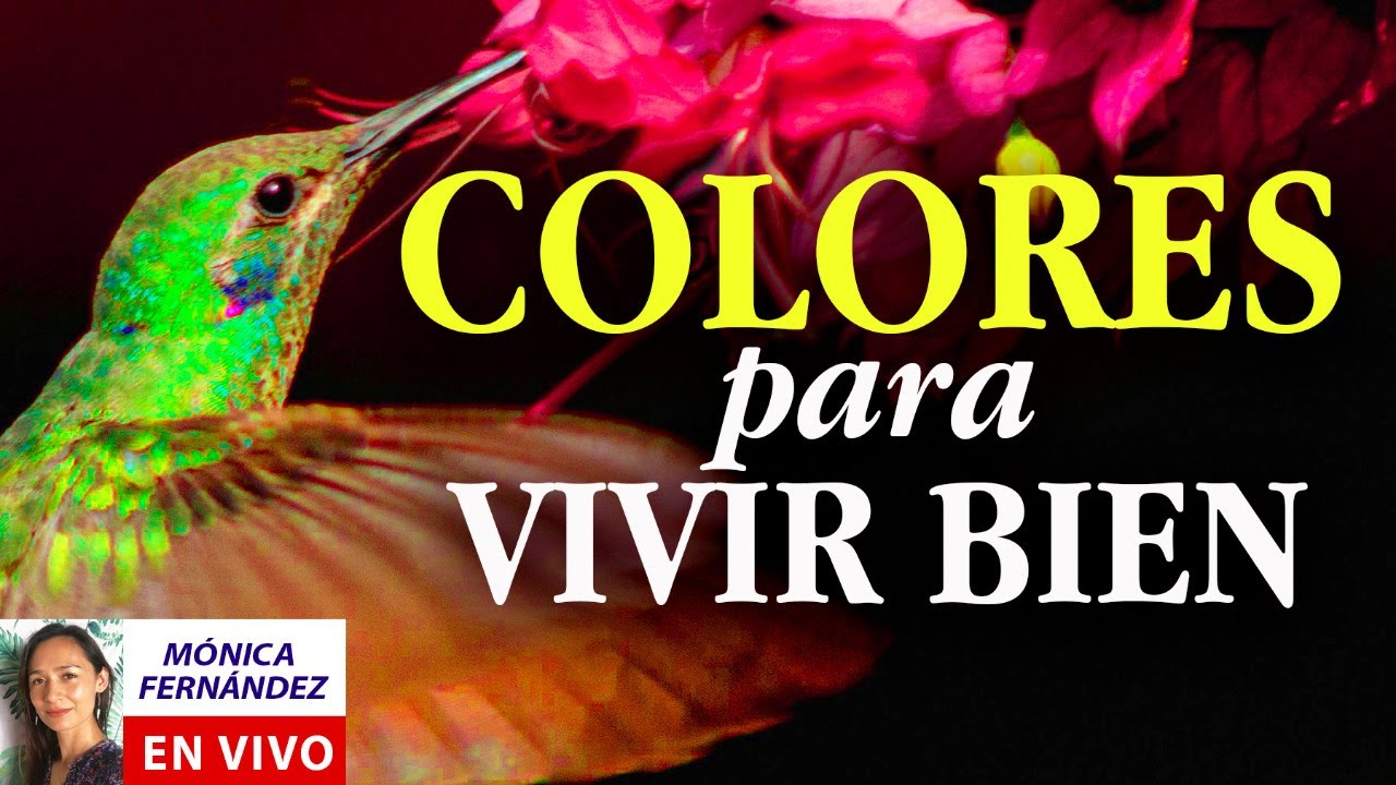 ¿CÓMO INFLUYEN LOS COLORES EN LA VIDA? - YouTube