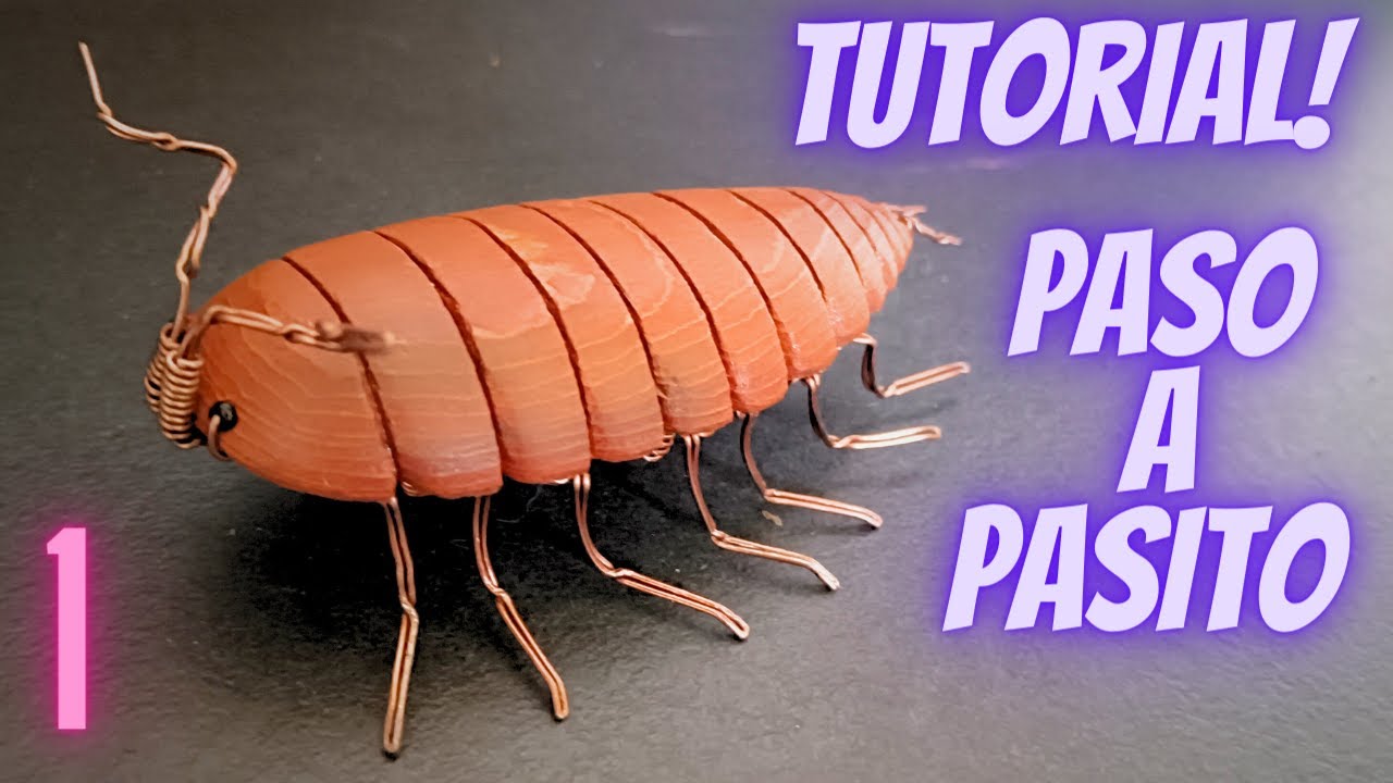 cochinilla o chanchito de tierra alambrismo - YouTube