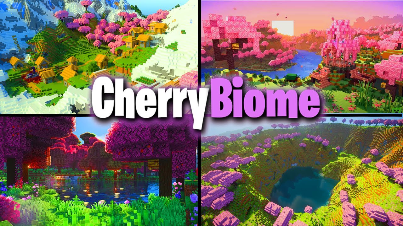 🌺TOP 5 SEMILLAS de CHERRY BIOME para Minecraft 1.20 - YouTube