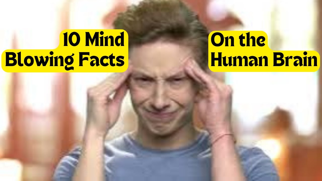 10 Mind Blowing Facts On the Human Brain! - YouTube