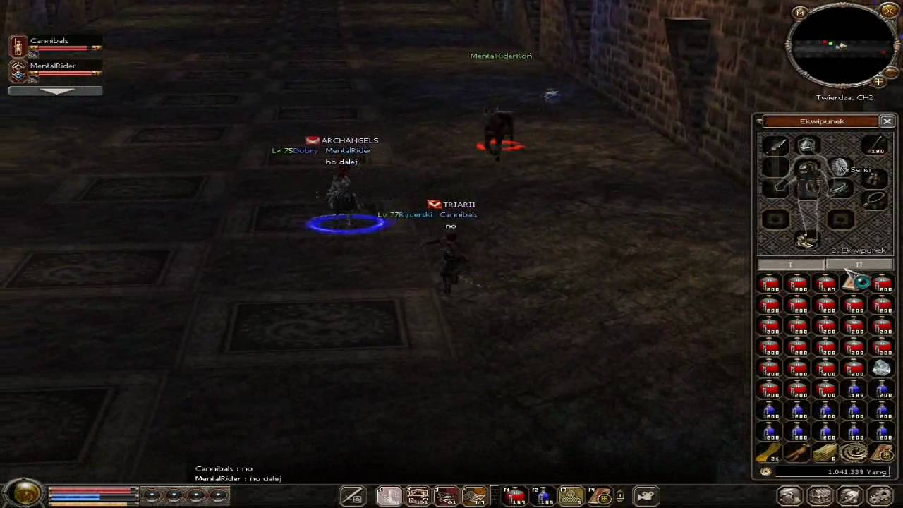 Metin2 PL Cannibals vs Grota Wygnańców - YouTube