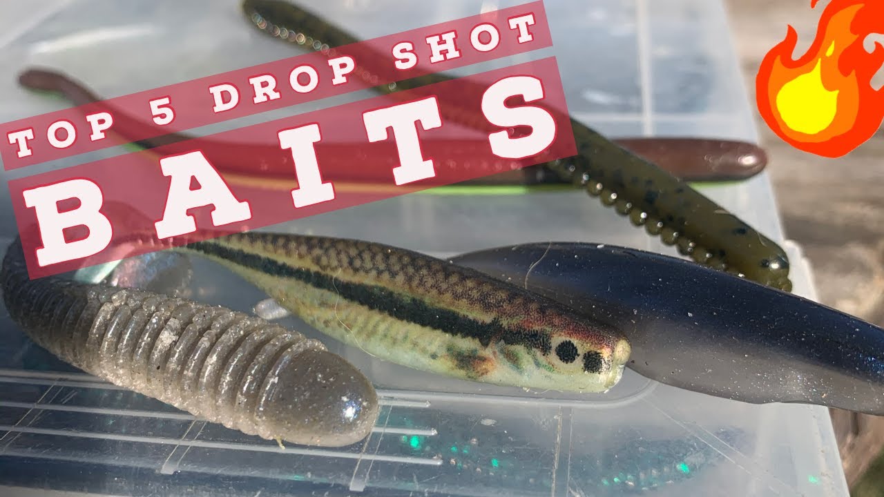 Top 5 drop shot lures (FOR PRESSURED FALL BASS) - YouTube