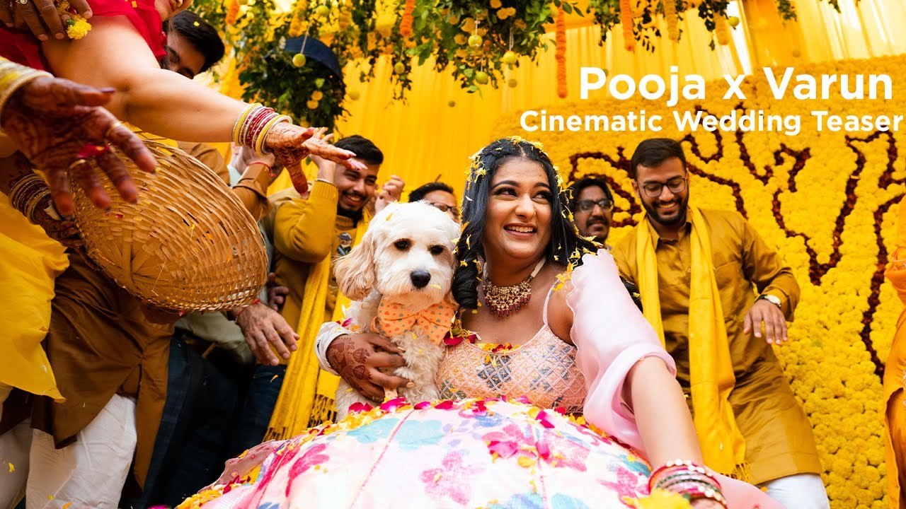 Pooja x Varun Teaser: A Preview of Timeless Elegance and Love Unveiled ...