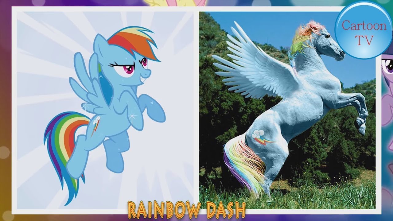 My Little Pony Characters in Real Life - YouTube