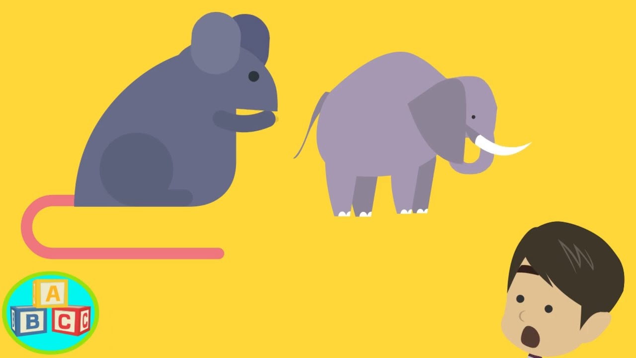Animals : What’s wrong? / Logic riddles with answers / Educational ...