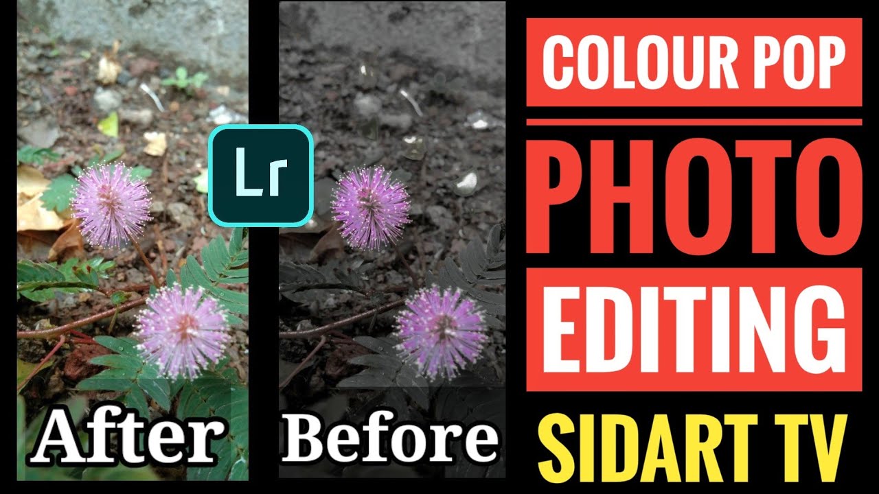 Colour Pop Photo Editing | Lightroom Photo Editing | Photo Editing ...