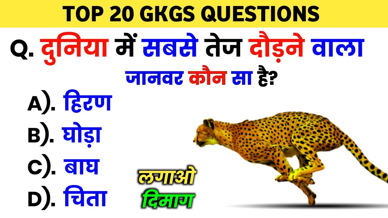 Gk Questions || Gk Quiz || Gk In Hindi || General Knowledge || Gk ke ...