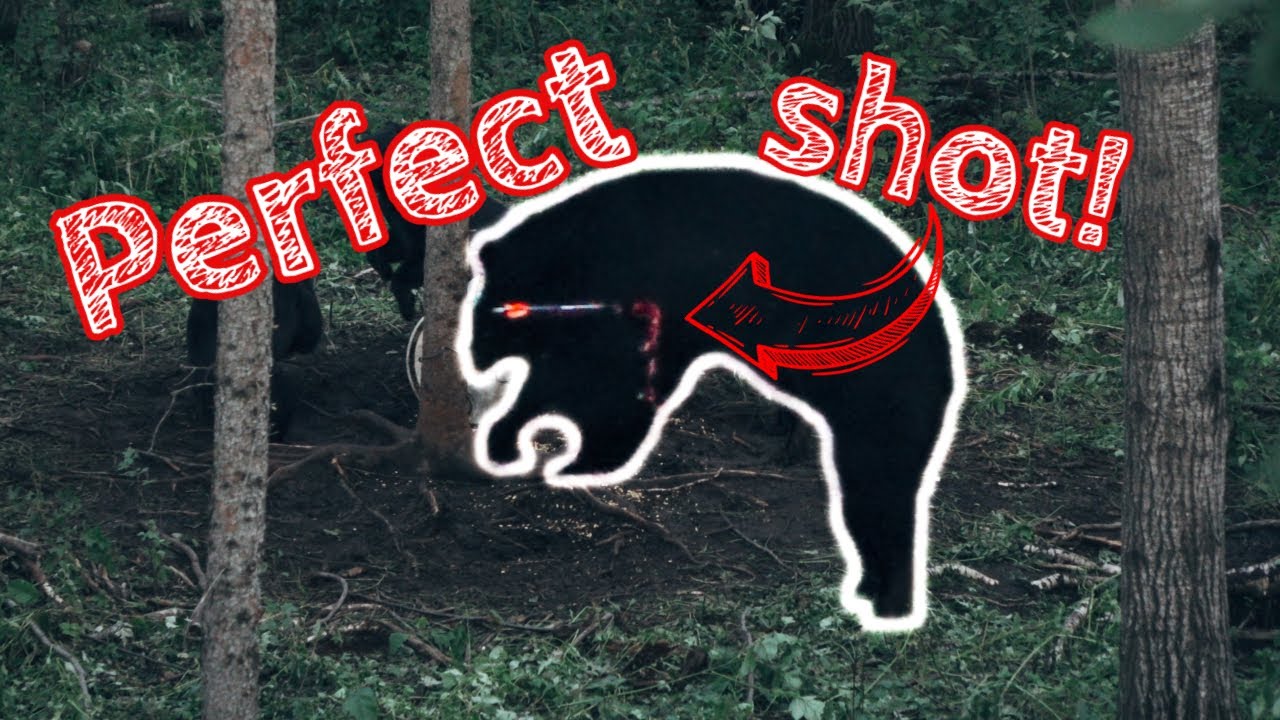 "Kid" makes PERFECT shot on Fall Bear|Down in SECONDS!!!|Full Circle ...