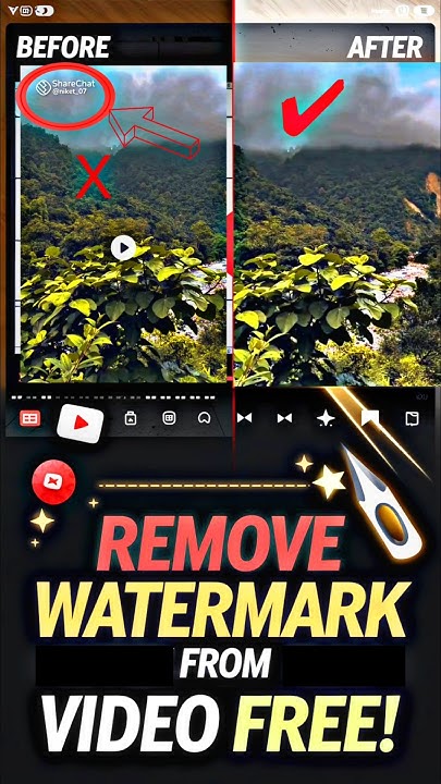 How to Remove Watermarks from Any Video–FREE !Quickest Way to Remove ...