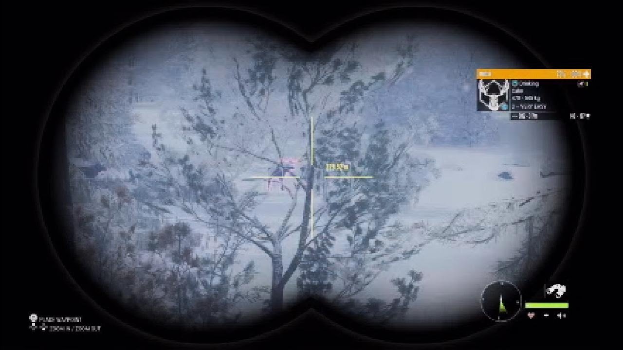 theHunter COTW PS5 Diamonds and Rares #23 - YouTube