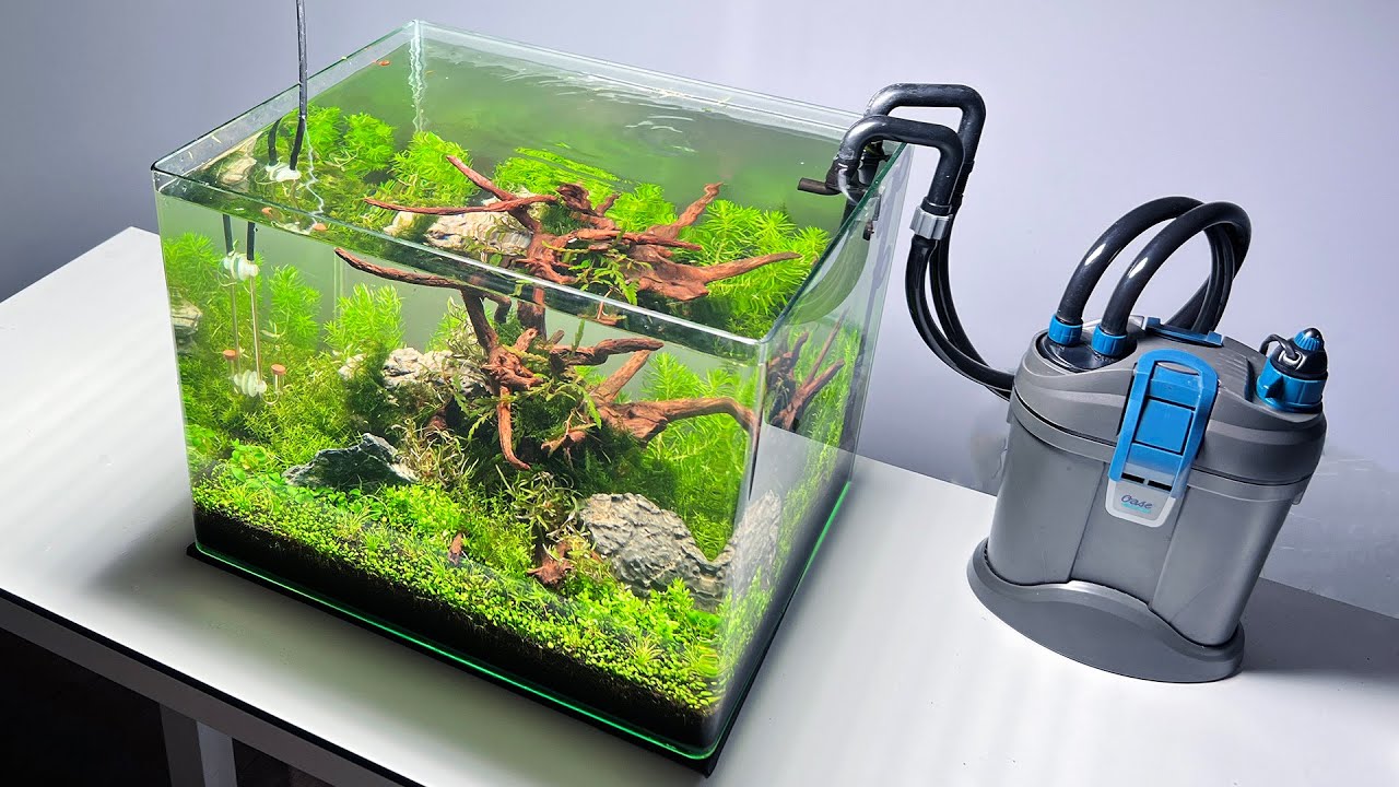 HIGH TECH NANO AQUASCAPE EVOLVED!! - YouTube