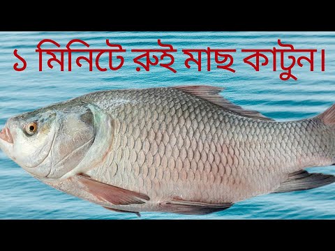 Big Rui Mach Cutting just One Minute , Fish Cutting Specialist, Fish ...