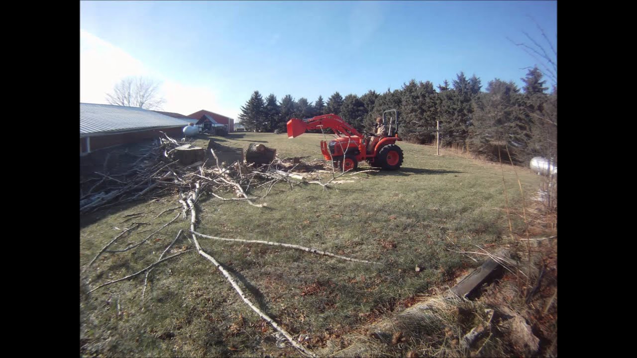 Tree clean up timelapse - YouTube