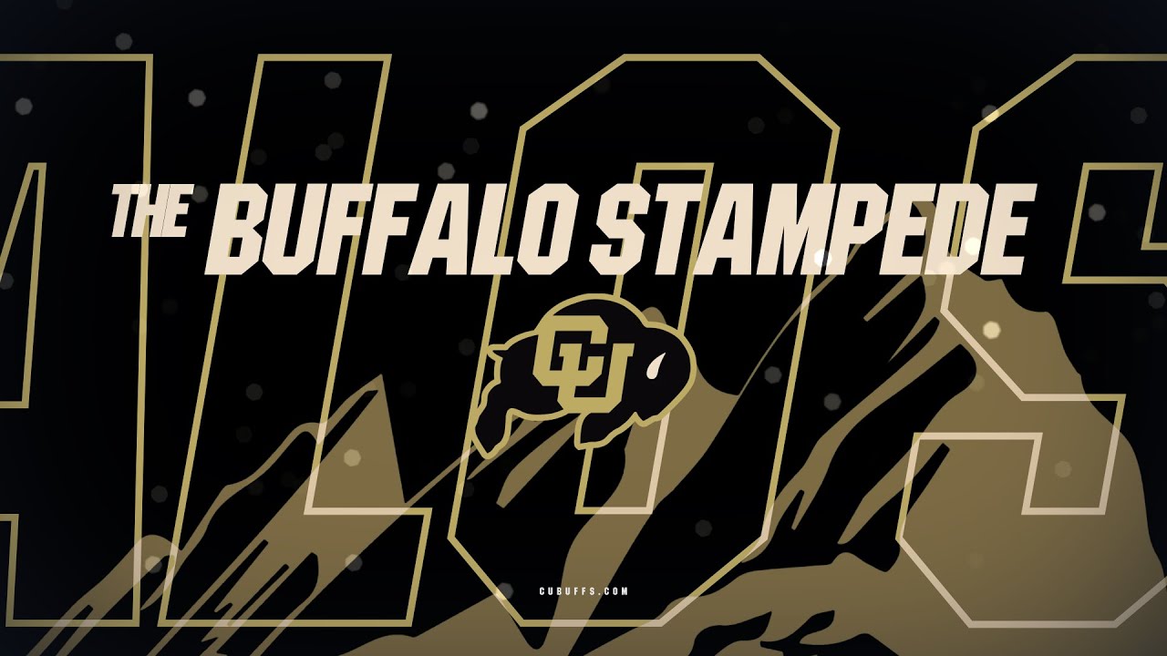 Buffalo Stampede WEEK 5 - YouTube