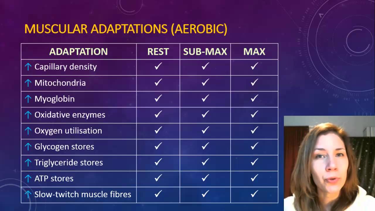 Yr 12 Chronic Adaptations - YouTube