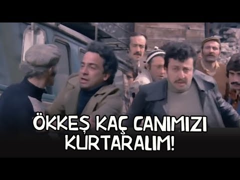 Aslan Bacanak (1977) - O Kız Halim Ayısının Kız Kardeşiymiş!