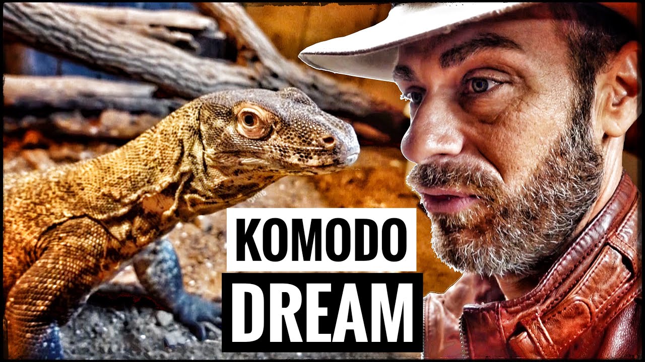 My Greatest Encounter with a Komodo Ever! - YouTube