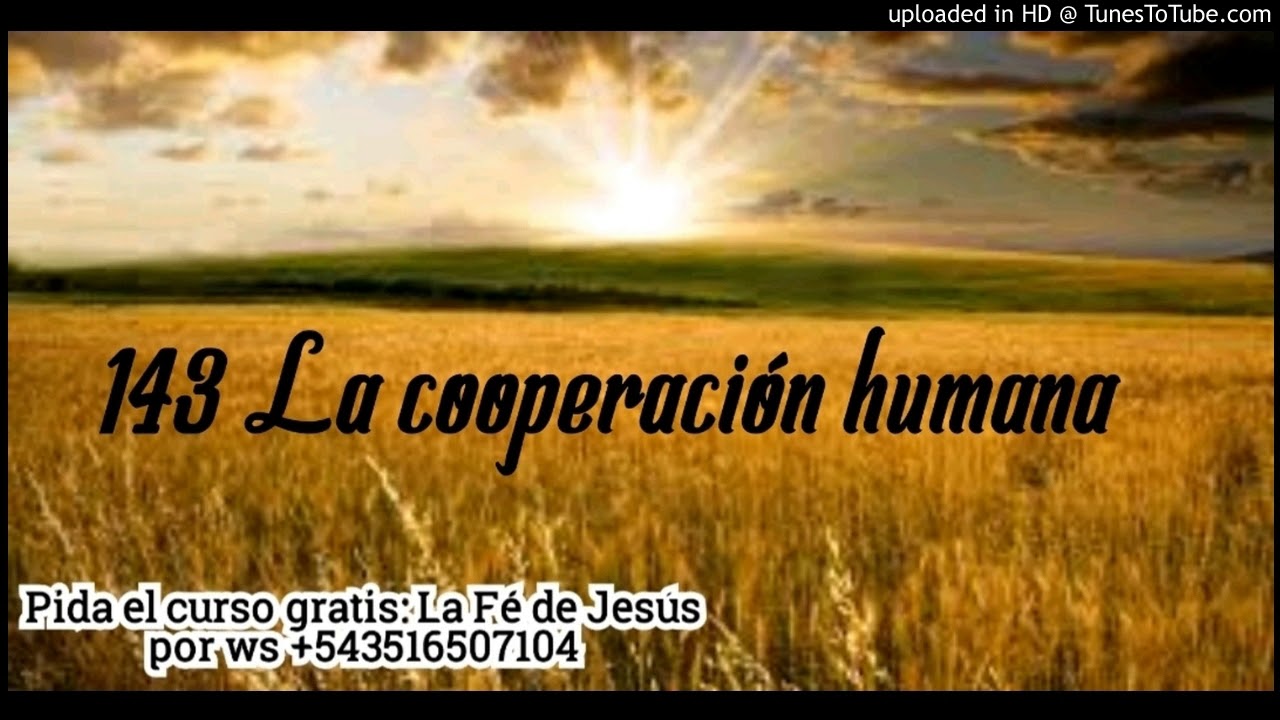 143_La_cooperación_humana_es_escencial - YouTube