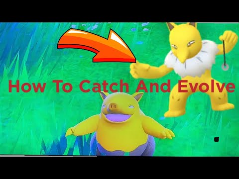 Drowzee location in Pokémon Scarlet And Violet - YouTube