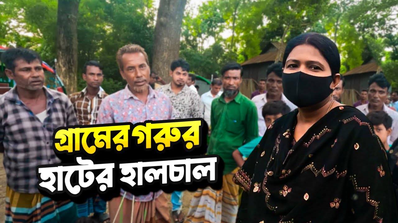 কোরবানির জন্য বাকচান্দা গরুর হাটের প্রস্তুতি। নান্দাইল-ময়মনসিংহ। Gorur ...