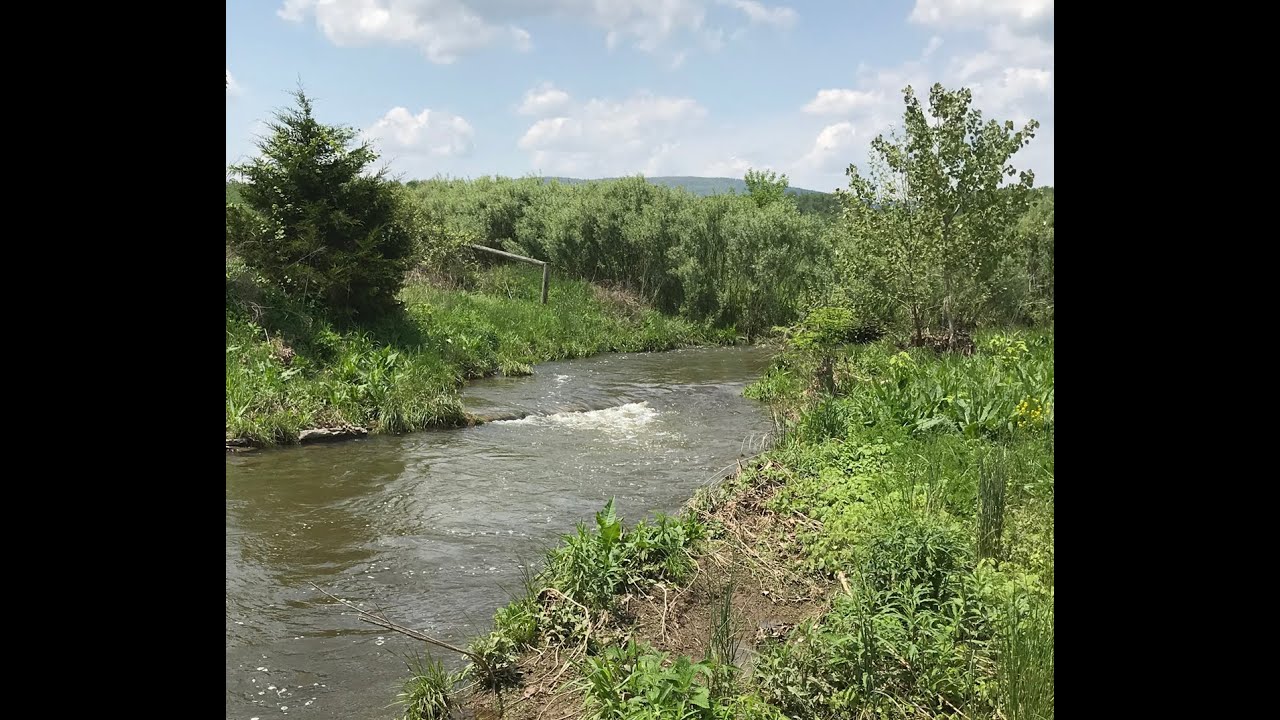 Benefits of CREP in West Virginia (Conservation Reserve Enhancement ...