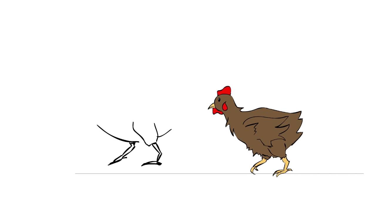 chicken walk cycle - YouTube