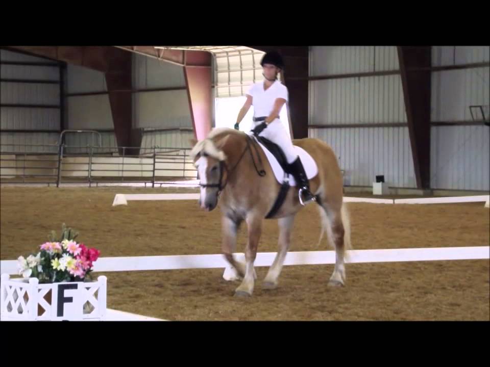 Fiona Fia - Dressage Intro Level B Test - YouTube