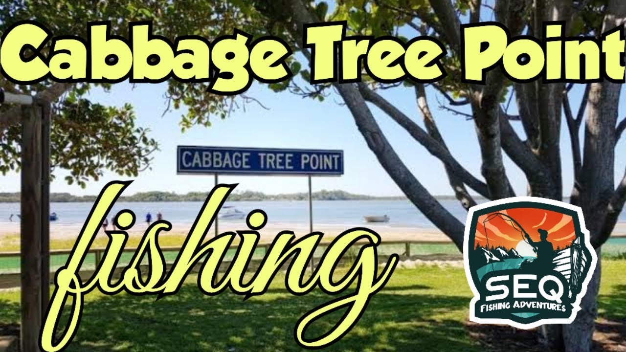 Cabbage Tree Point Fishing - YouTube