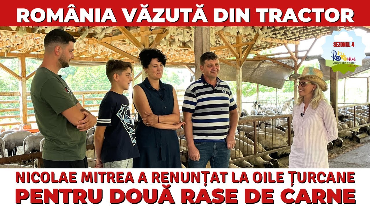 Nicolae Mitrea a renunțat la oile Turcane pentru rasele de carne ...
