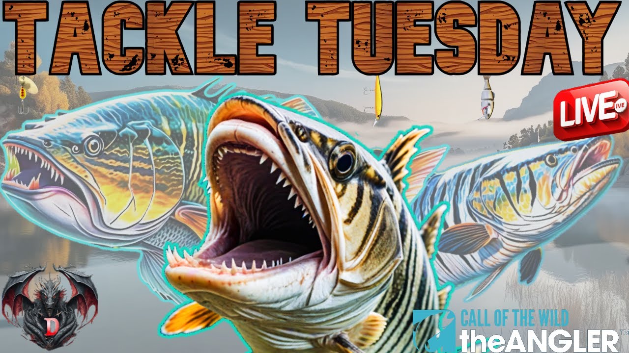 Tackle Tuesday with the Tuesday Crew - YouTube