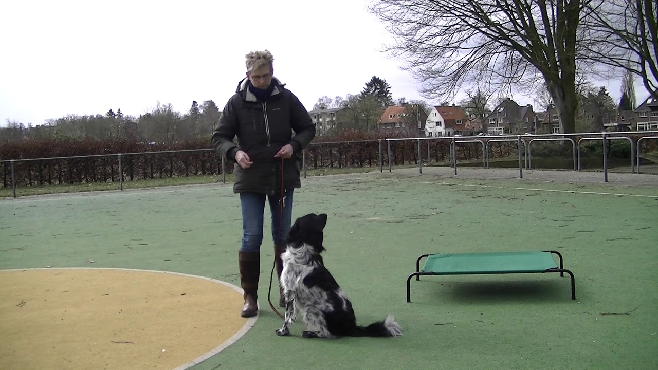 Aanleren tussen of mighty middle op het veld - YouTube