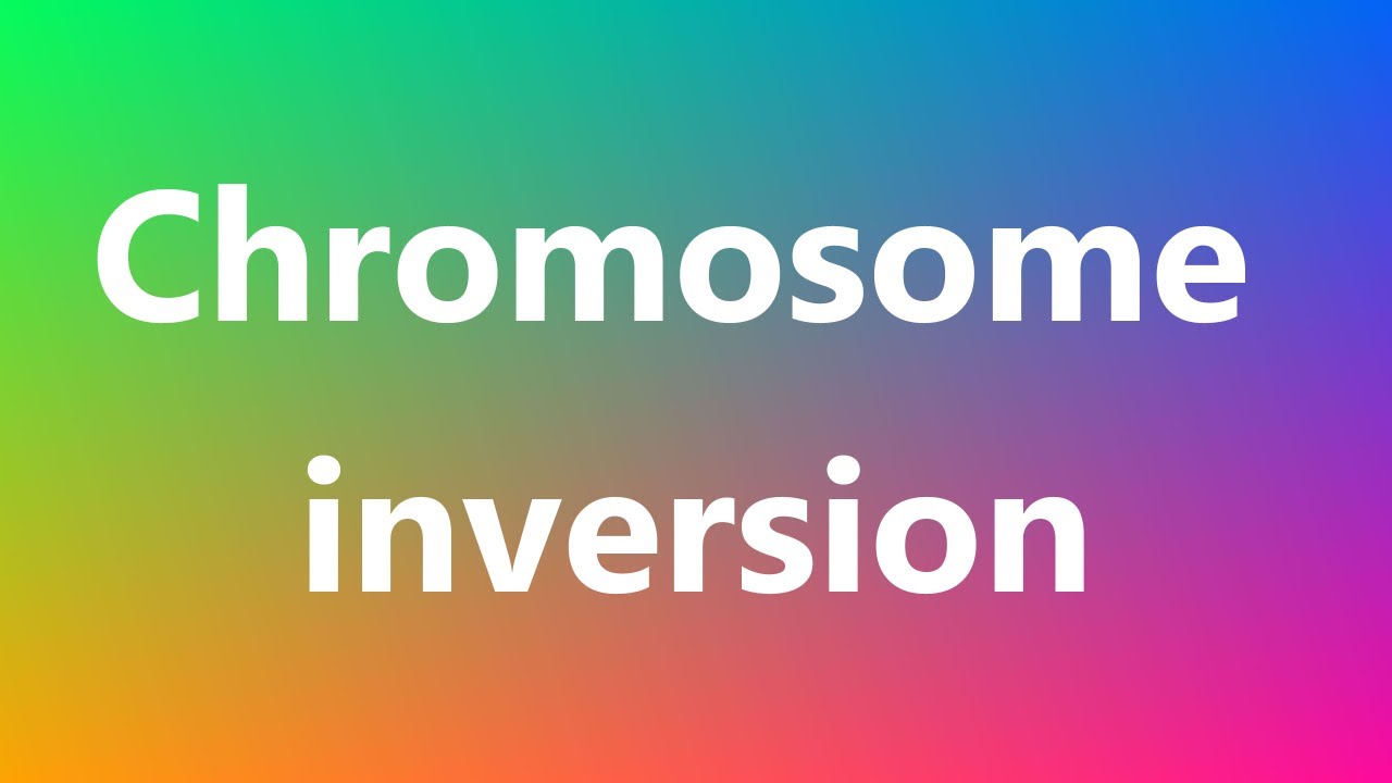 Chromosome inversion - Medical Definition - YouTube