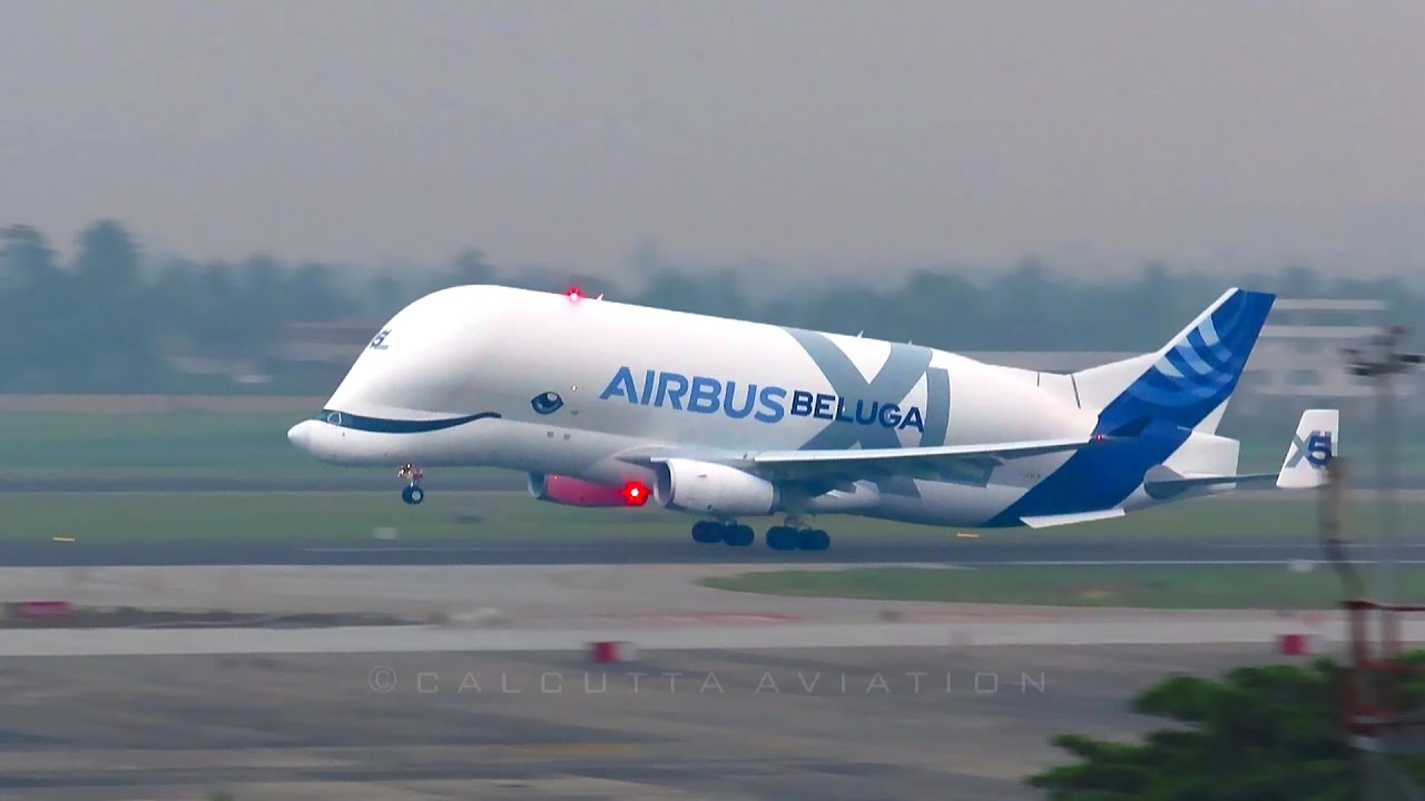 AIRBUS BELUGA XL LANDING & TAKE OFF AT KOLKATA AIRPORT | Plane Spotting ...