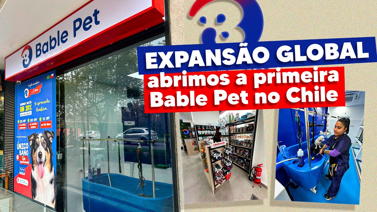 Como Levamos Um Pet Shop do Brasil para o Chile e a Estratégia Que ...