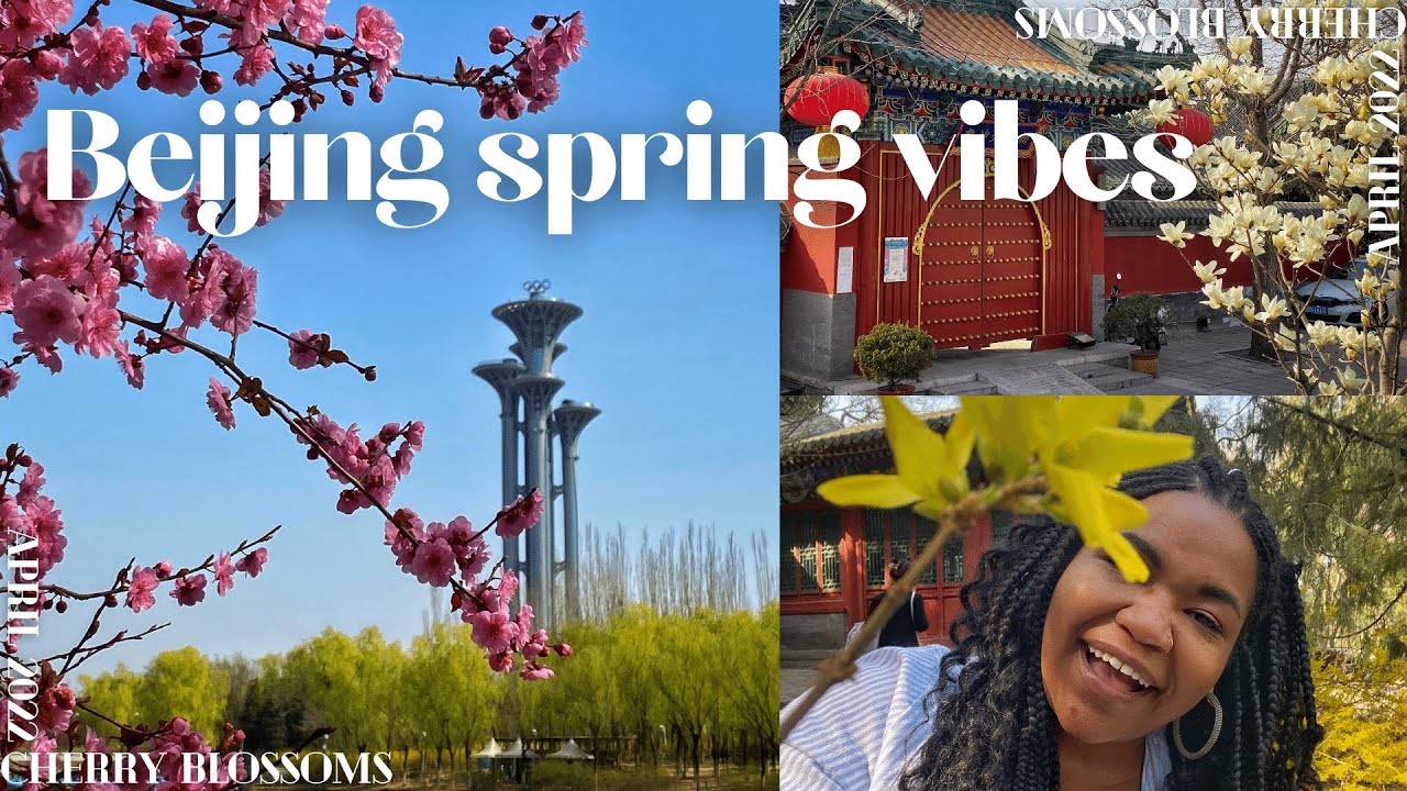 🌸Spring days in Beijing | Cherry blossoms + a visit to my fave temple ...