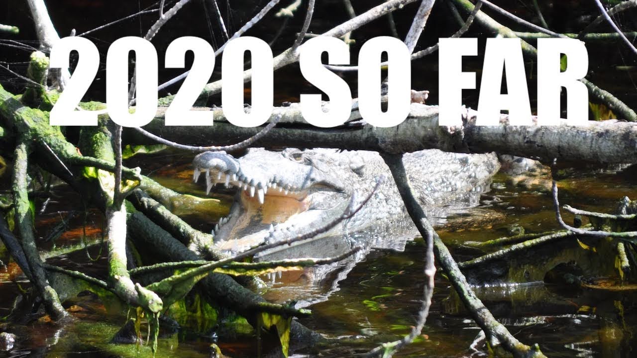 2020 So Far - YouTube