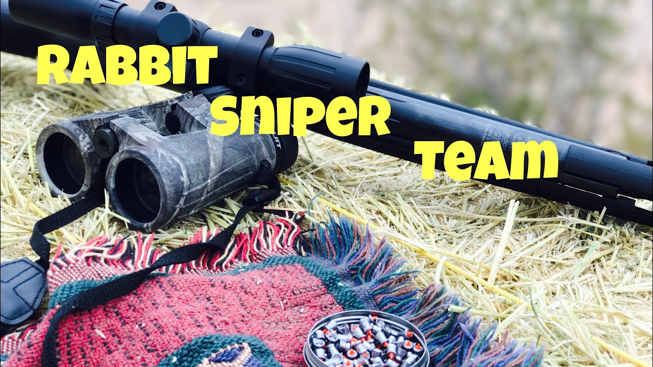 Rabbit Sniper Team! Featuring the Gamo Raptor Whisper .22 Pellet Rifle ...