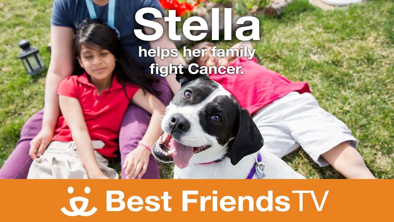 Best Friends TV Episode 2: Stella Helps a Cancer Survivor - YouTube