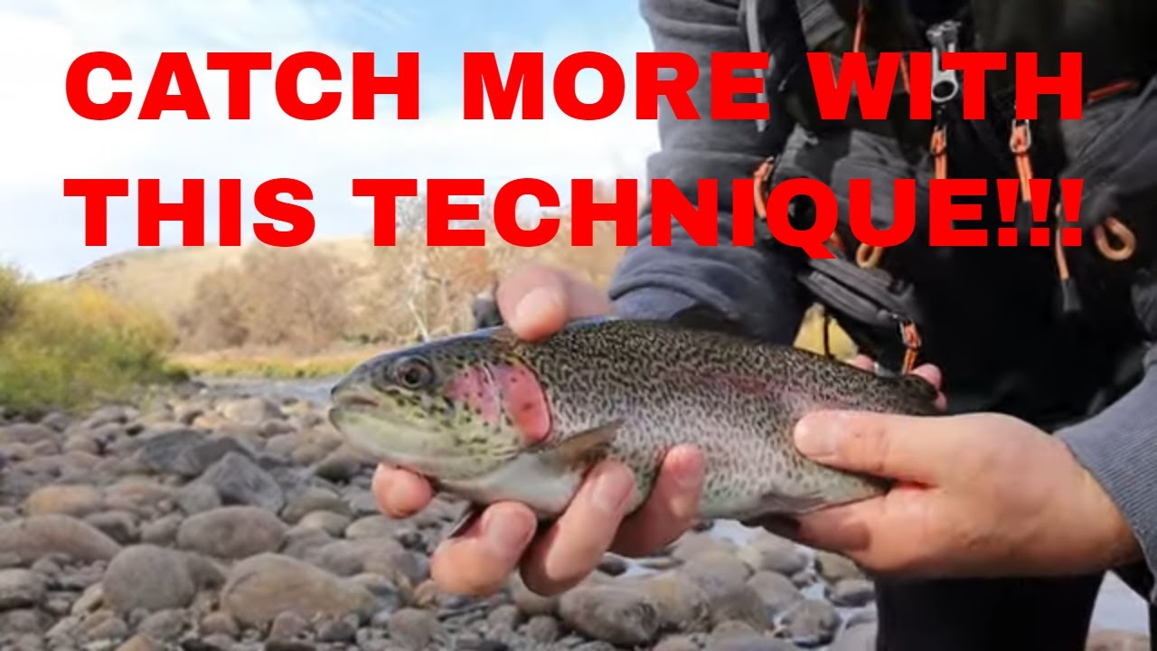 FISHING the LOWER KINGS RIVER below Pine Flat Dam (HOW TO CATCH MORE ...