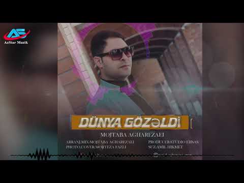 Mojtaba Agharezaei, Dünya Gözəldi