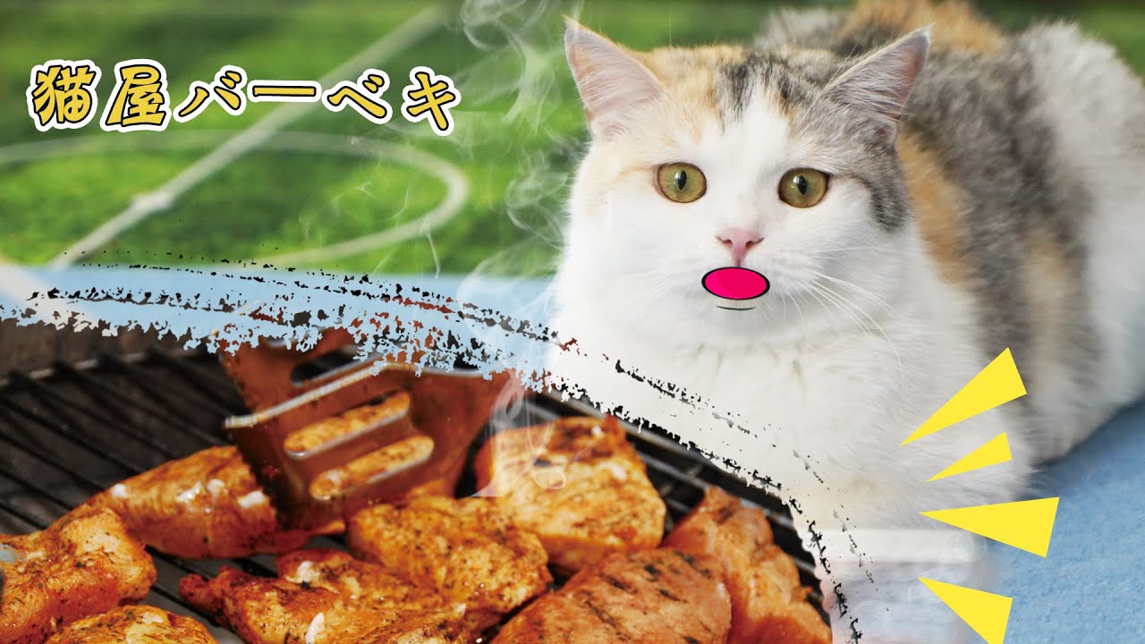 Make A BBQ Party For Cats🎉🎉猫屋敷バーベキュー🤣| Funny Cat Mukbang Studio😼💗 - YouTube