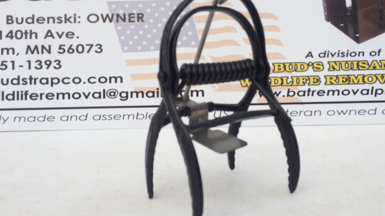 Victor OOS mole trap with Elite Mole upgrade kit installed. $19.00usd ...