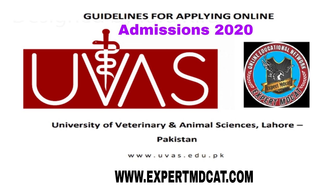 How to Apply Online in UVAS |UVAS Lahore|Admissions2020|Complete ...