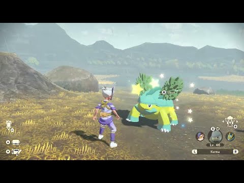 Shiny Alpha Grotle Pokémon Legends Arceus 🤩 - YouTube