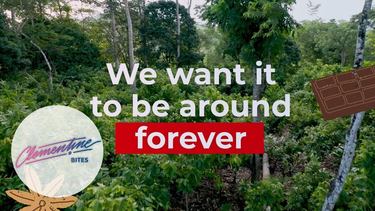 Barry Callebaut - Forever Chocolate - YouTube