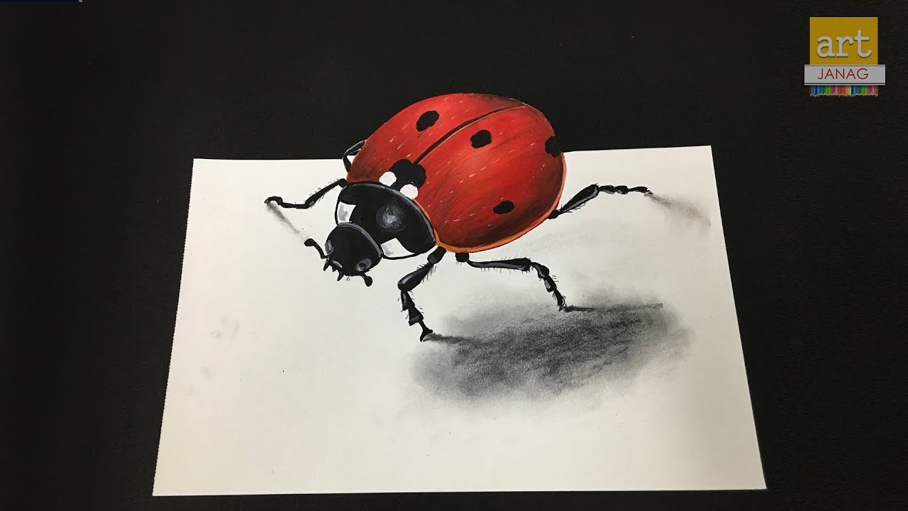How to draw 3D pictures II Ladybug Drawing II By Art JanaG - YouTube