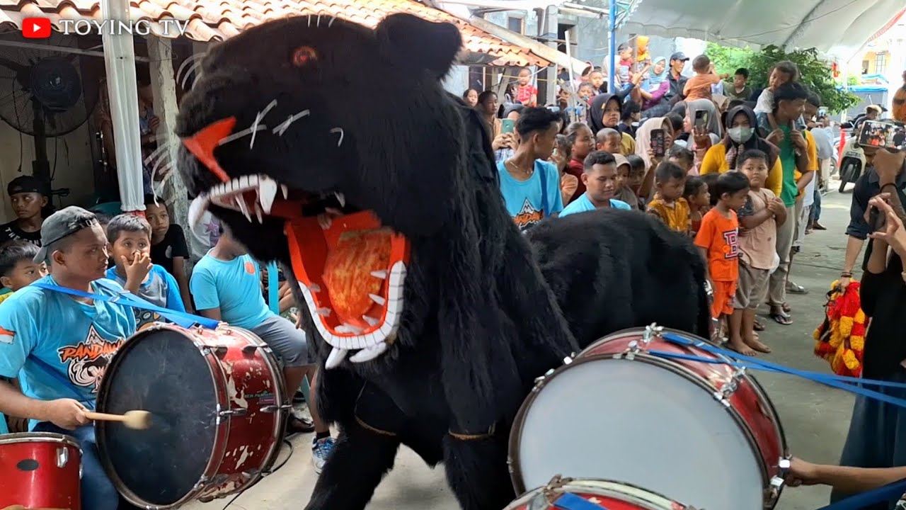 Barongan Macan Ngamuk ! New Pandawa Live Werdoyo Demak - YouTube
