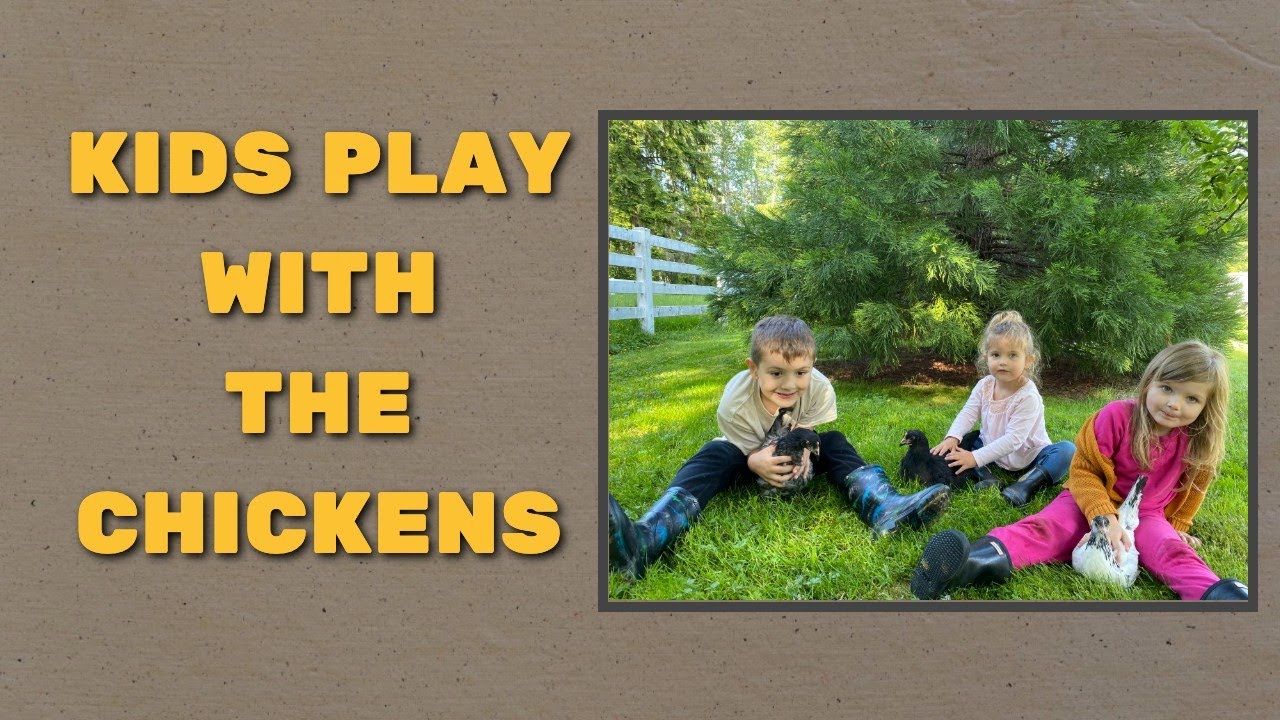 KIDS PLAYING WITH THE CHICKENS! FUN OUTDOOR PLAY! - YouTube